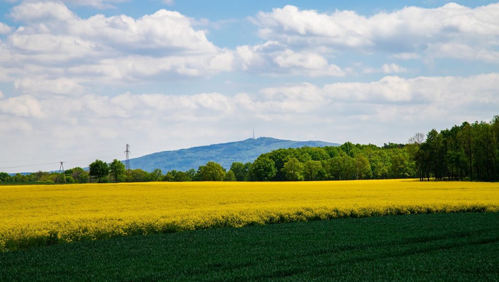 Góra Ślęża – szlaki, atrakcje, ciekawostki, legenda