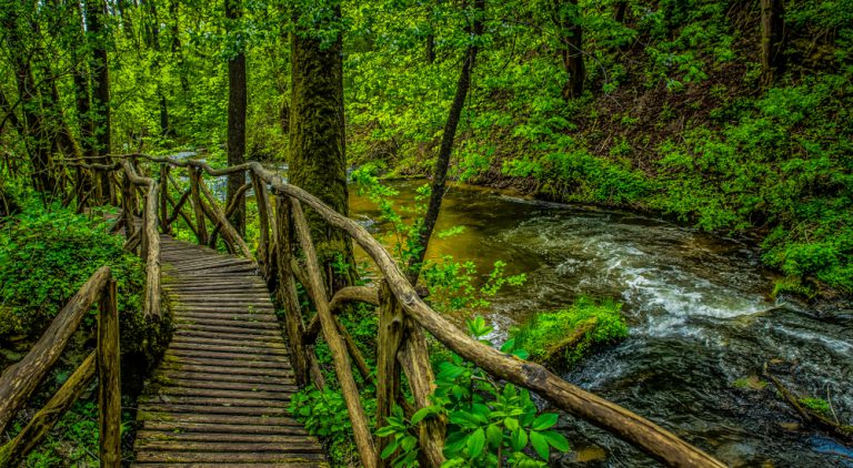 Roztoczański Park Narodowy — ceny biletów, szlaki piesze, rowerowe ...